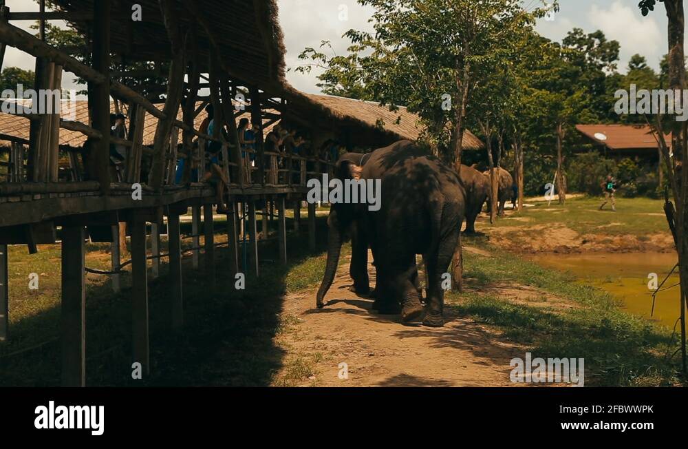 Wooden viewing platform Stock Videos & Footage - HD and 4K Video Clips ...