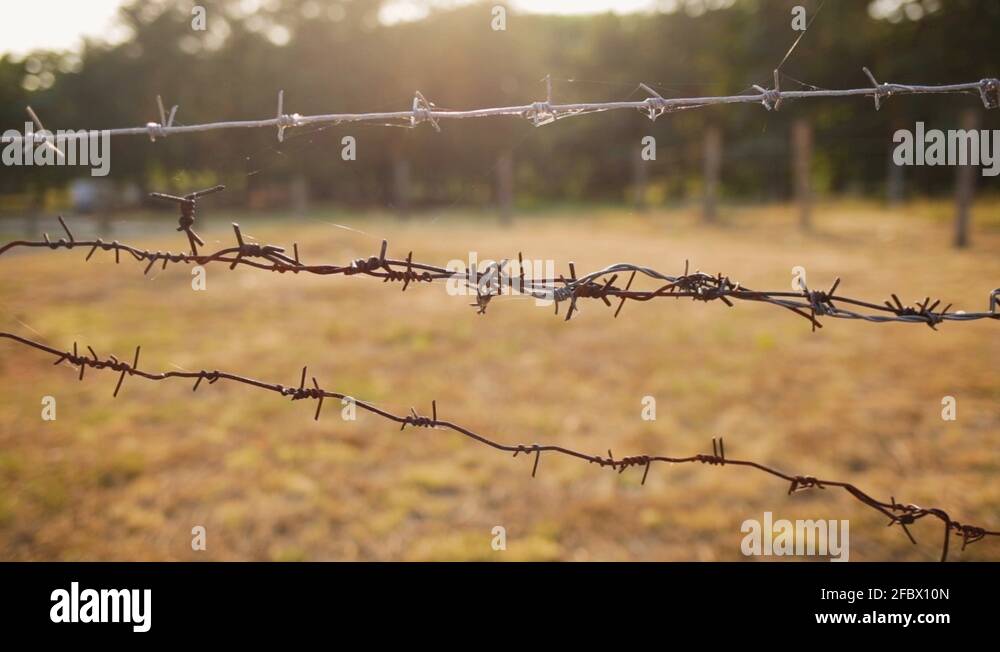 Sharp close up barb metal fence Stock Videos & Footage - HD and 4K ...