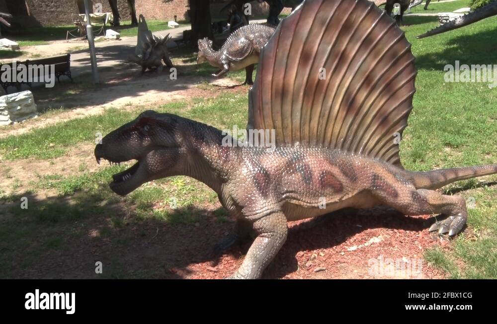 Dimetrodon dinosaur Stock Videos & Footage - HD and 4K Video Clips - Alamy