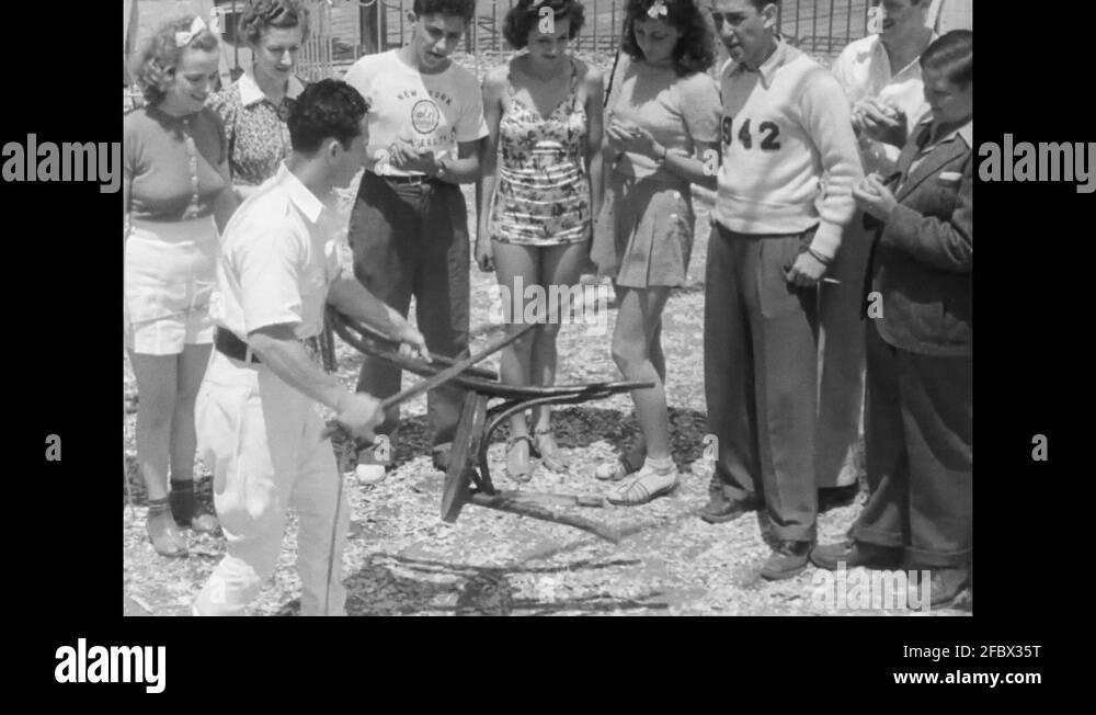 Lion class Stock Videos & Footage - HD and 4K Video Clips - Alamy