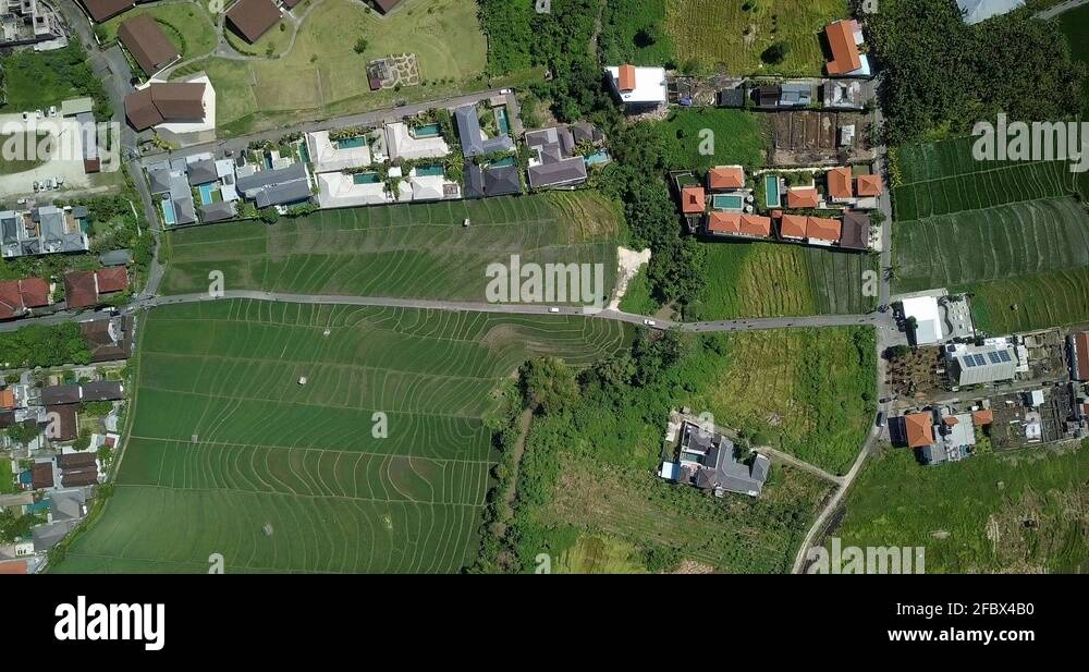 Motorcycles crowd of bikes riding in the rice terrace field. Modern ...