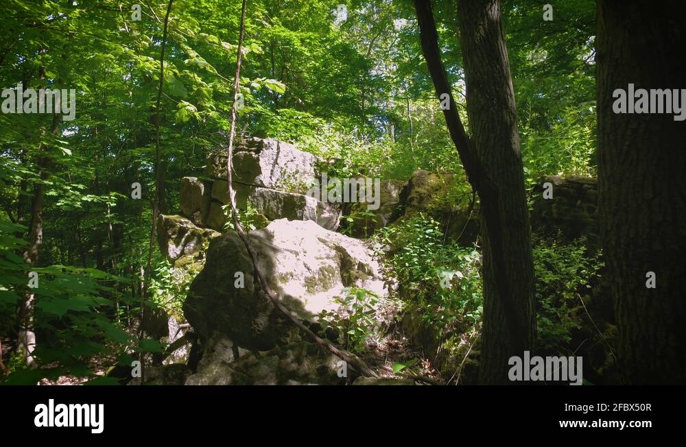 Cretaceous rock formation Stock Videos & Footage - HD and 4K Video ...