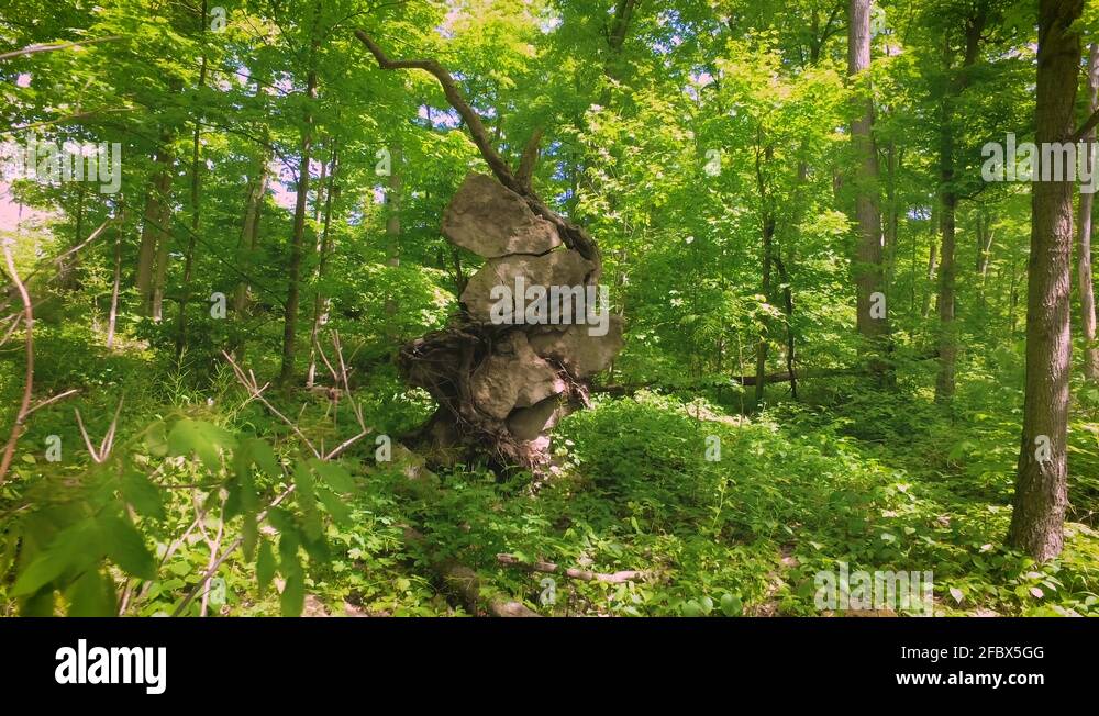 A rock at the centre of the water Stock Videos & Footage - HD and 4K ...