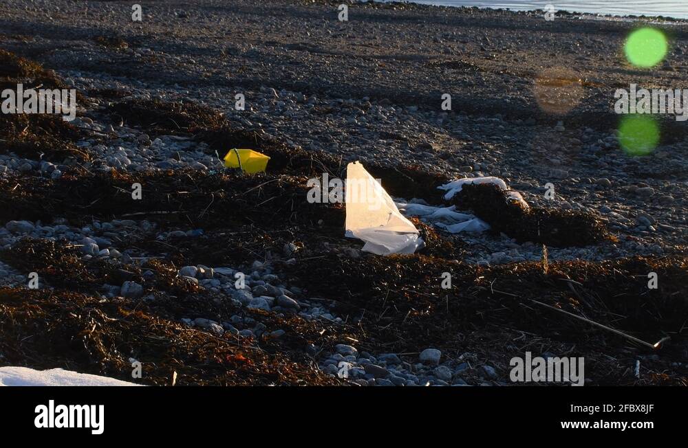 Plastic trashes Stock Videos & Footage - HD and 4K Video Clips - Alamy