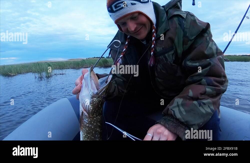 Angler fish head Stock Videos & Footage - HD and 4K Video Clips - Alamy