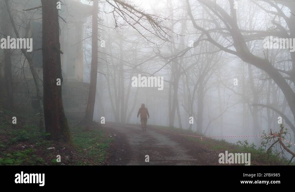 Man the hunter Stock Videos & Footage - HD and 4K Video Clips - Alamy