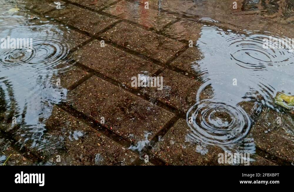 Tiled pavement Stock Videos & Footage - HD and 4K Video Clips - Alamy