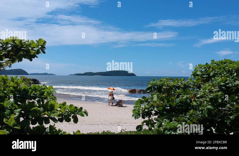 Brazil life Stock Videos & Footage - HD and 4K Video Clips - Alamy