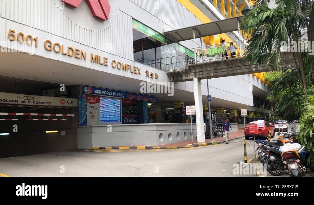 Golden mole complex Stock Videos & Footage - HD and 4K Video Clips - Alamy