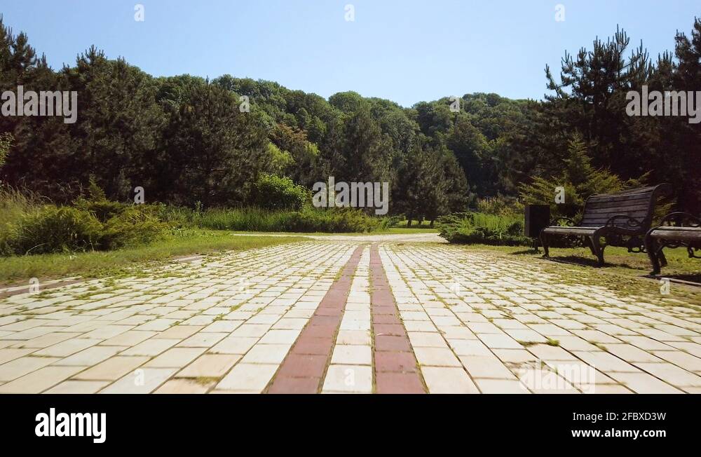 Low hovering shot along a pedestrian pathway in a park surrounded by ...