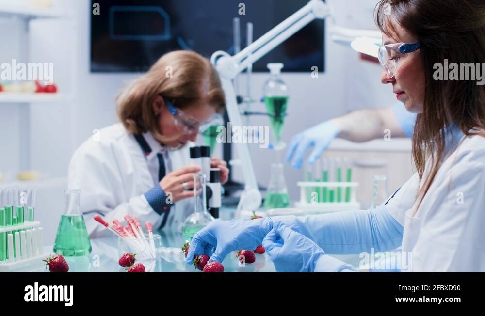 Fruit genetics Stock Videos & Footage - HD and 4K Video Clips - Alamy