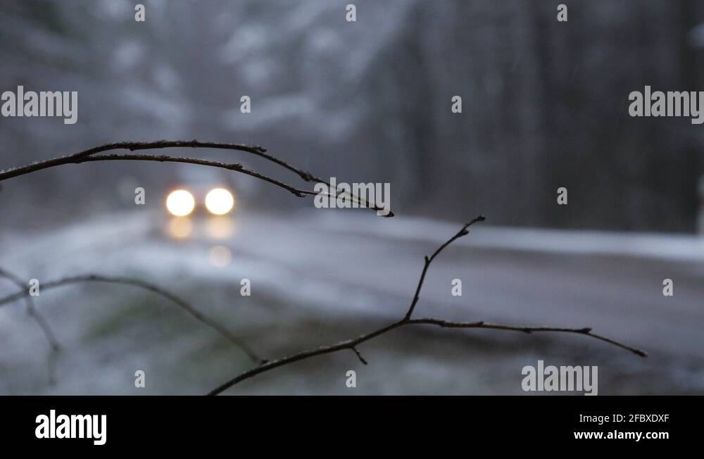 Car branch Stock Videos & Footage - HD and 4K Video Clips - Alamy