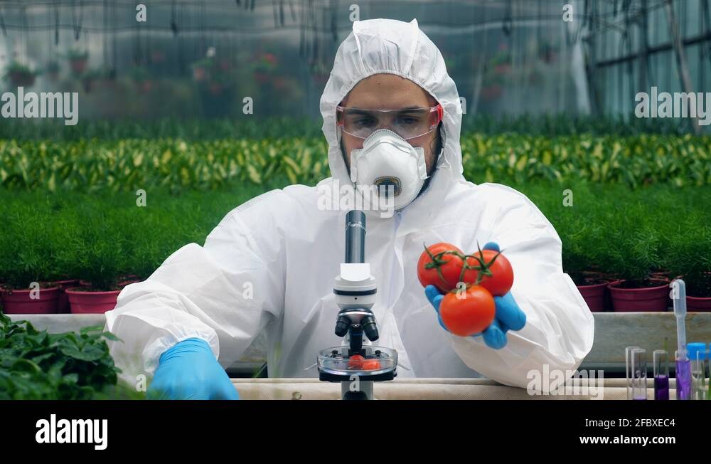 Genetic pollution Stock Videos & Footage - HD and 4K Video Clips - Alamy