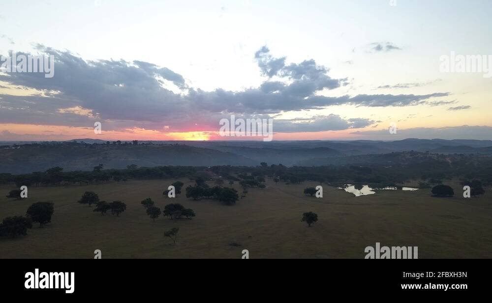 Zimbabwean sunset Stock Videos & Footage - HD and 4K Video Clips - Alamy