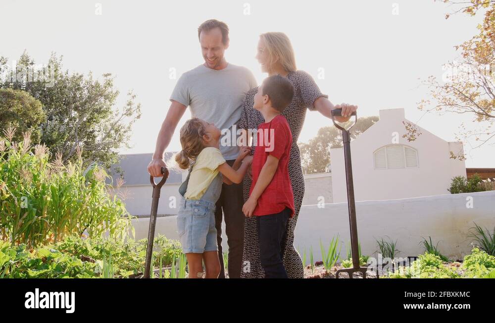 Looking after an allotment Stock Videos & Footage - HD and 4K Video ...