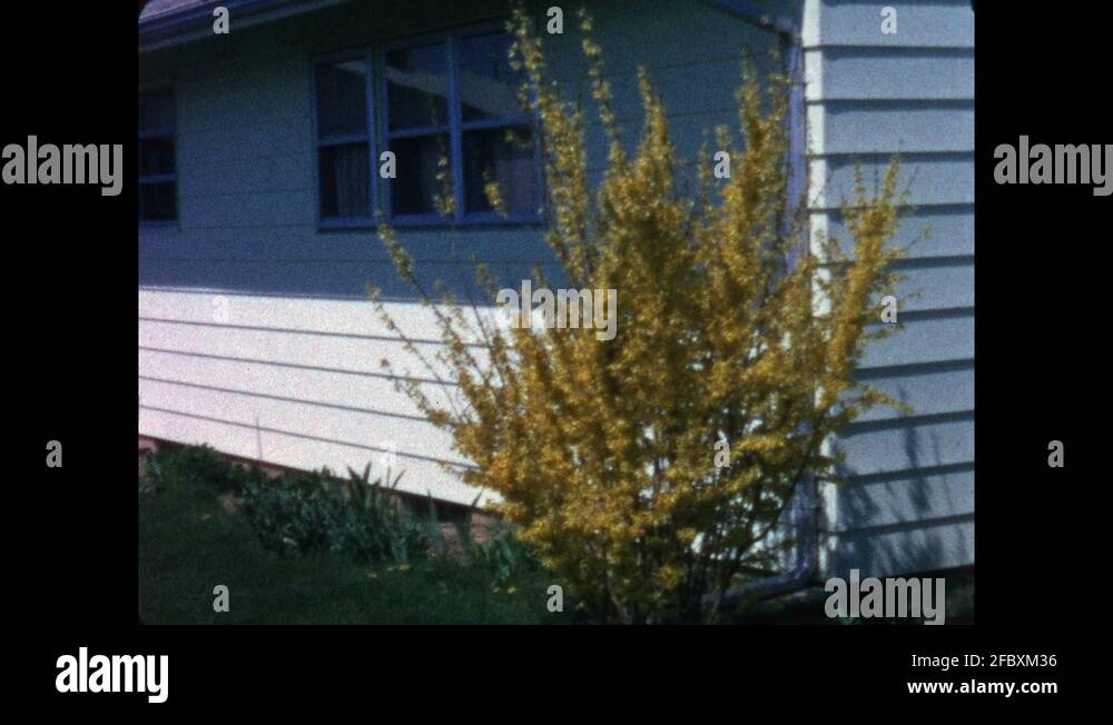 Lady tree planting Stock Videos & Footage - HD and 4K Video Clips - Alamy