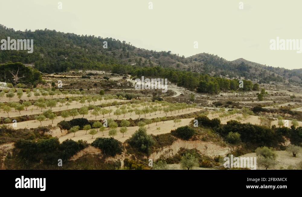 Terrace plantations Stock Videos & Footage - HD and 4K Video Clips - Alamy