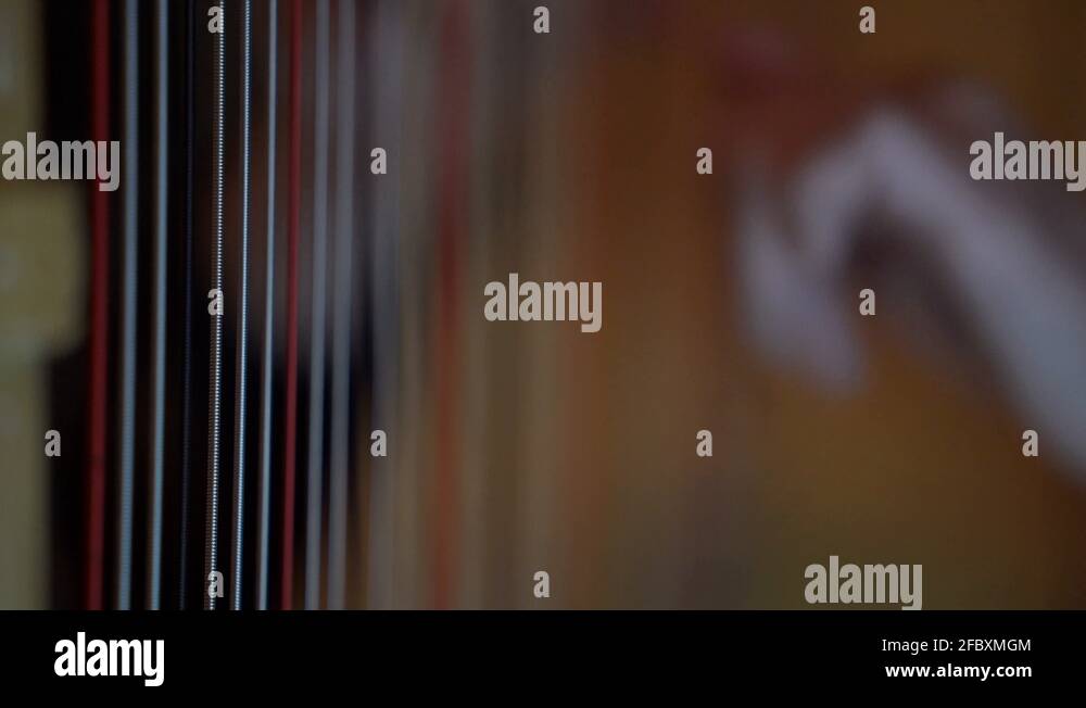 Plucking an instruments Stock Videos & Footage - HD and 4K Video Clips ...