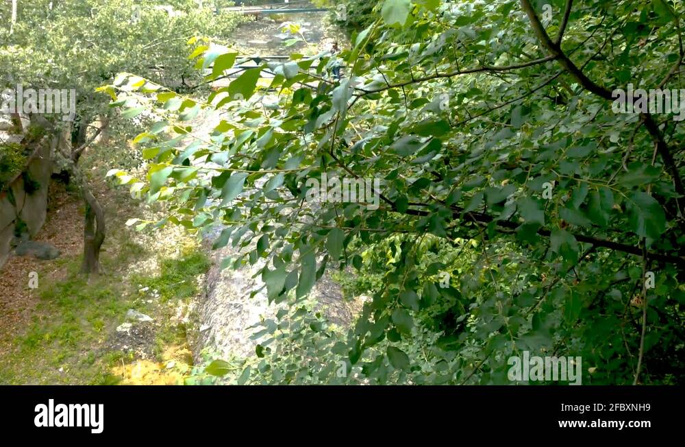 A small river among trees in the hot springs in Pozar Aridea Greece ...