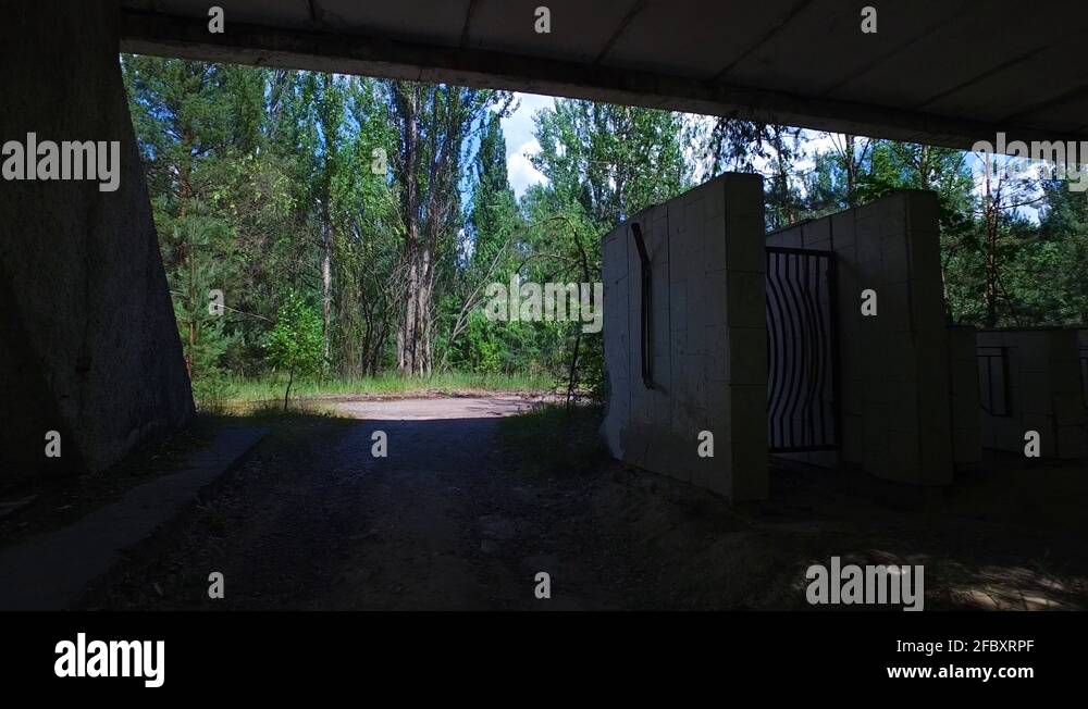 Chernobyl Nuclear Zone, Pripyat City Football Stadium Entrance. Nature ...