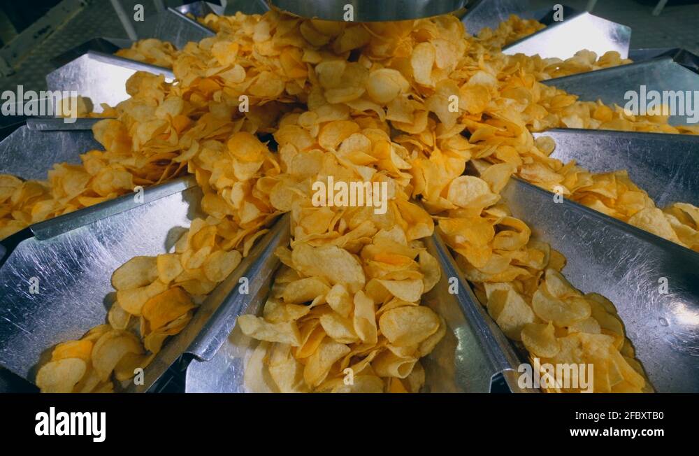 Heap of fried chips falling into a sorting container in a facility ...