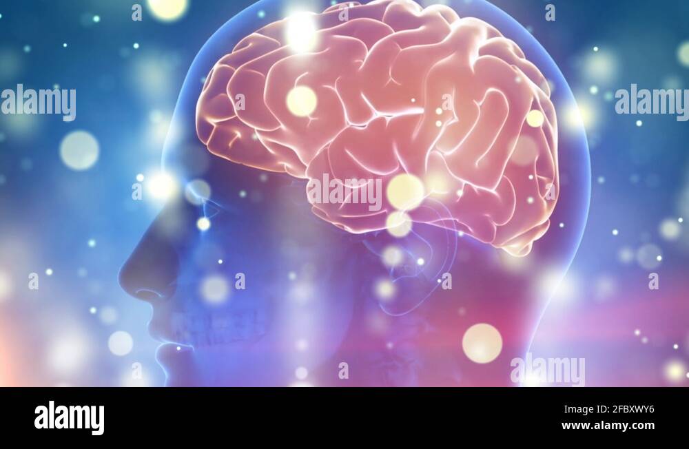 Human brain artificial intelligence concept Stock Video Footage - Alamy
