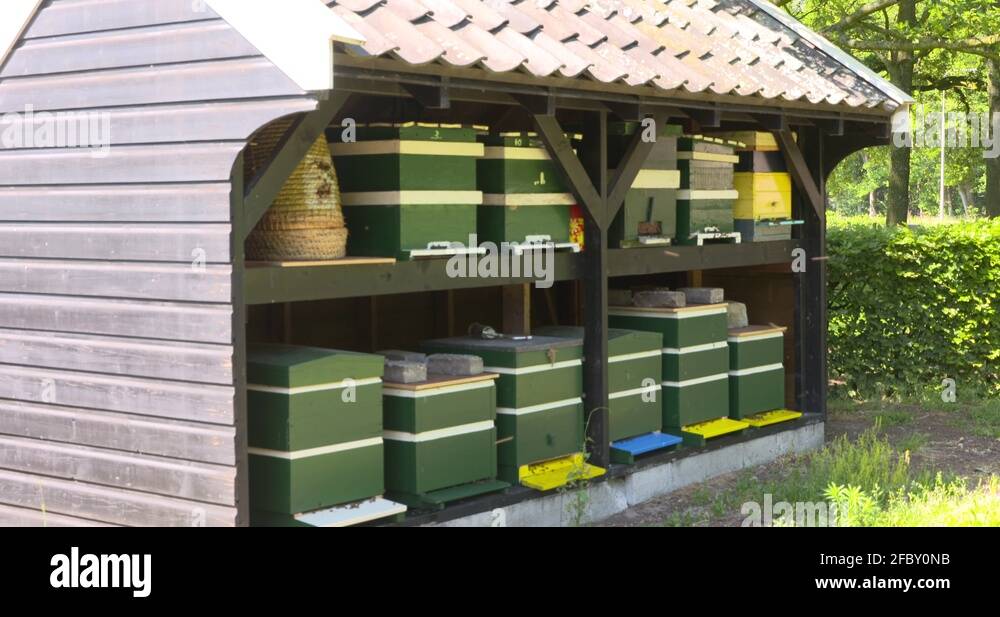 Collection of beehives Stock Videos & Footage - HD and 4K Video Clips ...