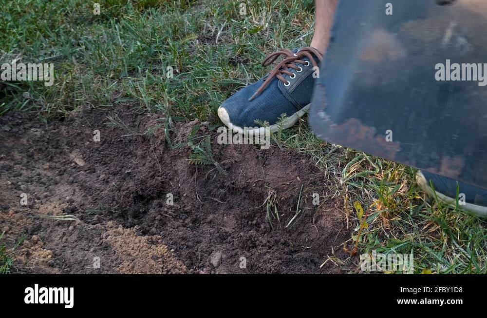 Foot digging hole in grass Stock Videos & Footage - HD and 4K Video ...