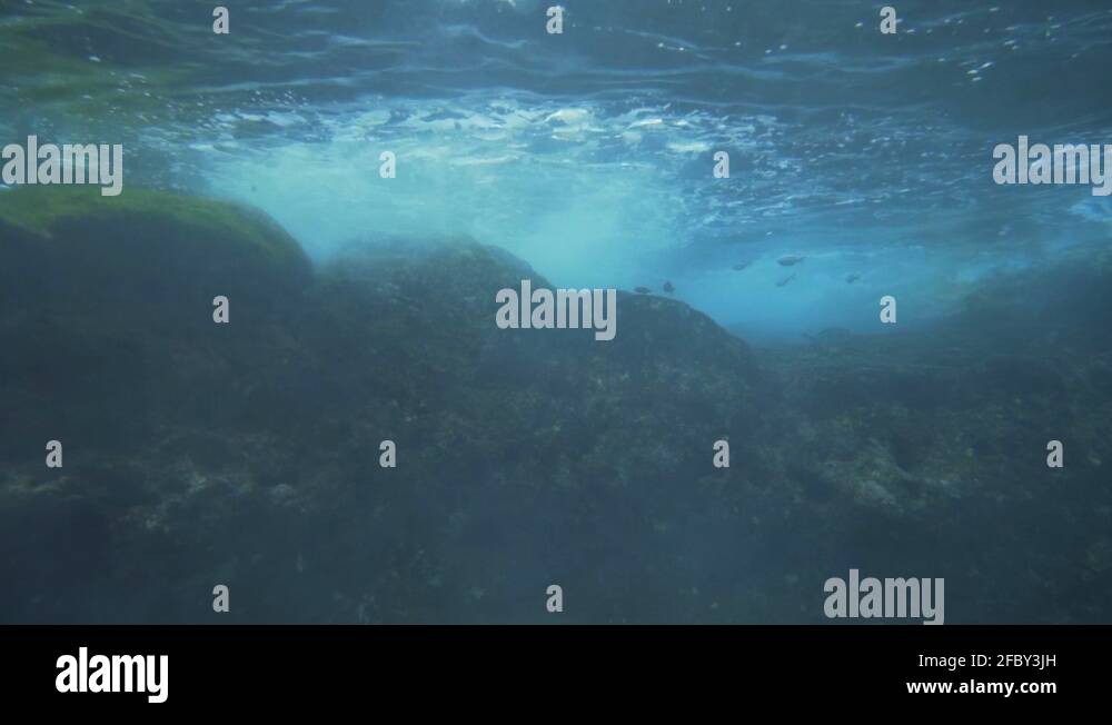 Under the ocean Stock Videos & Footage - HD and 4K Video Clips - Alamy