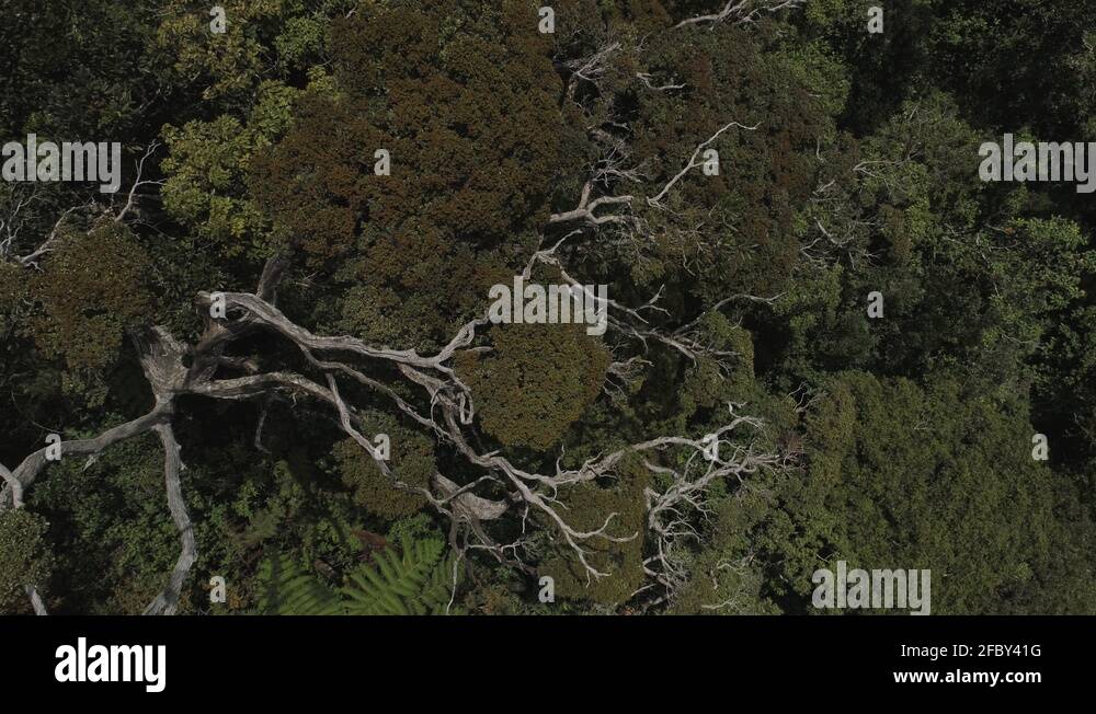 Top angle photography Stock Videos & Footage - HD and 4K Video Clips ...