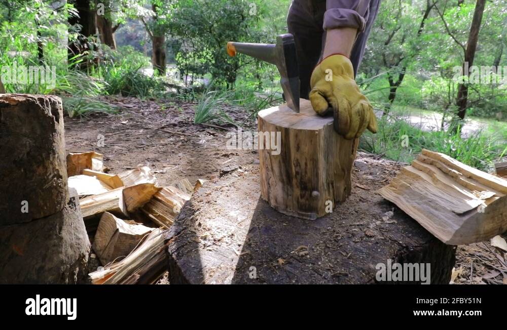 Log pulling Stock Videos & Footage - HD and 4K Video Clips - Alamy