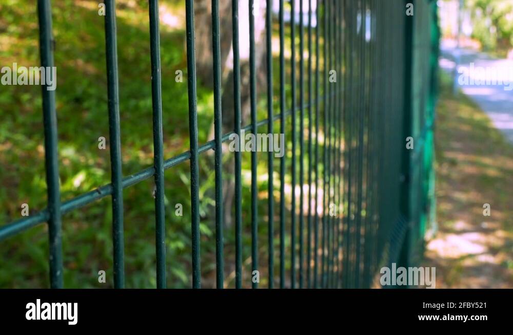 Green metal fence with a garden behind it and pathway in the distance ...