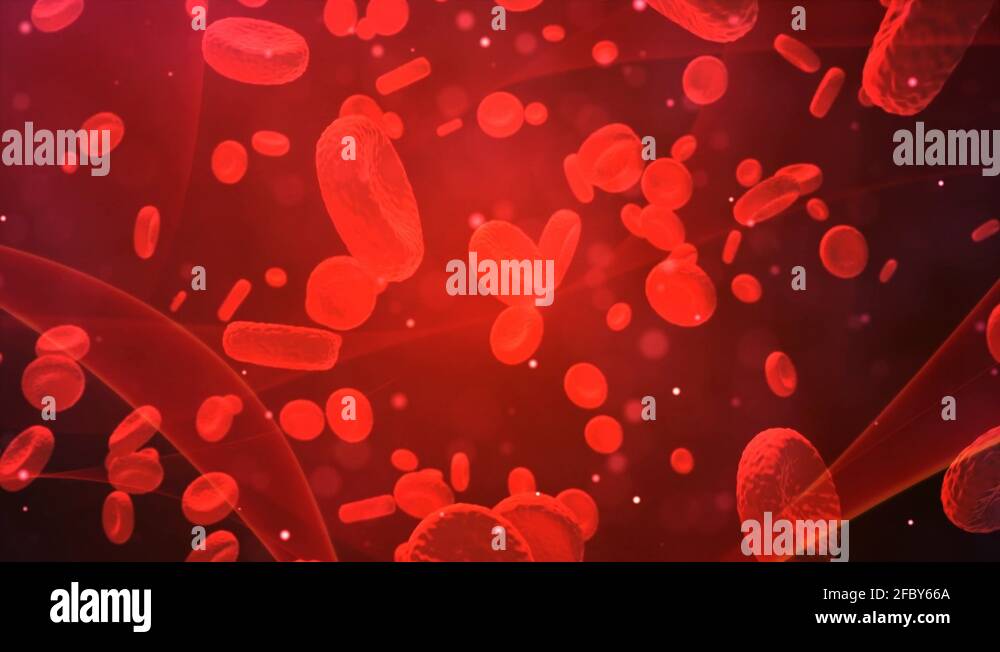 Microcosmic artery Stock Videos & Footage - HD and 4K Video Clips - Alamy