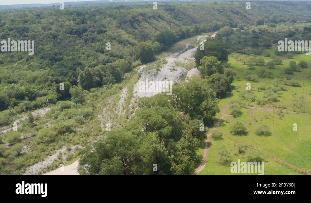 Green pilon Stock Videos & Footage - HD and 4K Video Clips - Alamy