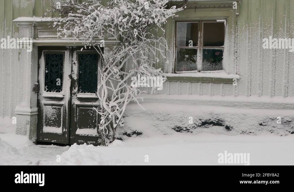 A very old house exterior with light green walls and a tree covered in ...