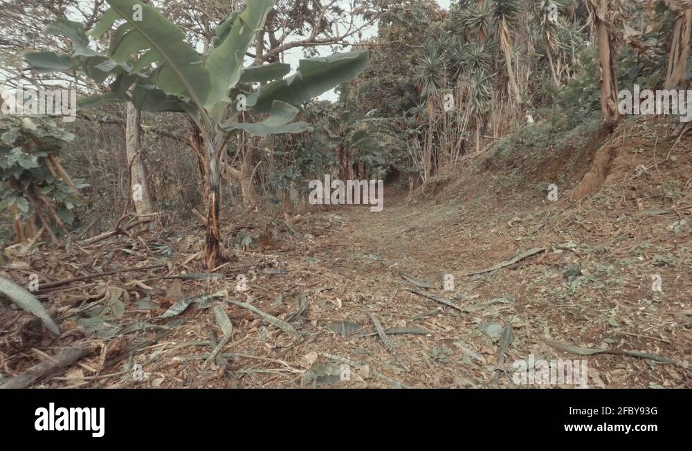 Dangerous pathway Stock Videos & Footage - HD and 4K Video Clips - Alamy