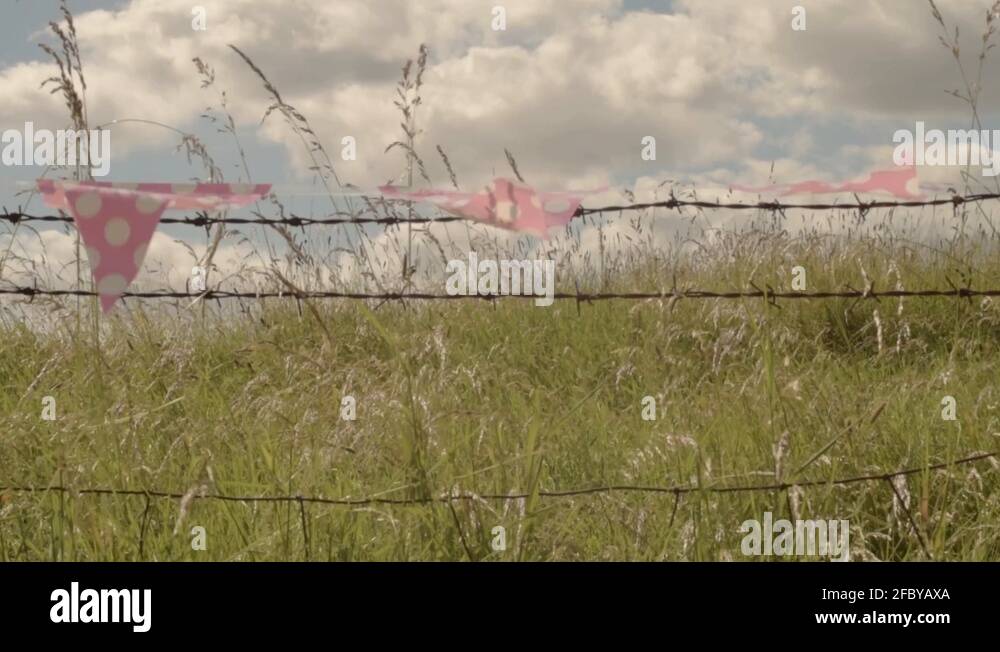 Rural fair bunting Stock Videos & Footage - HD and 4K Video Clips - Alamy