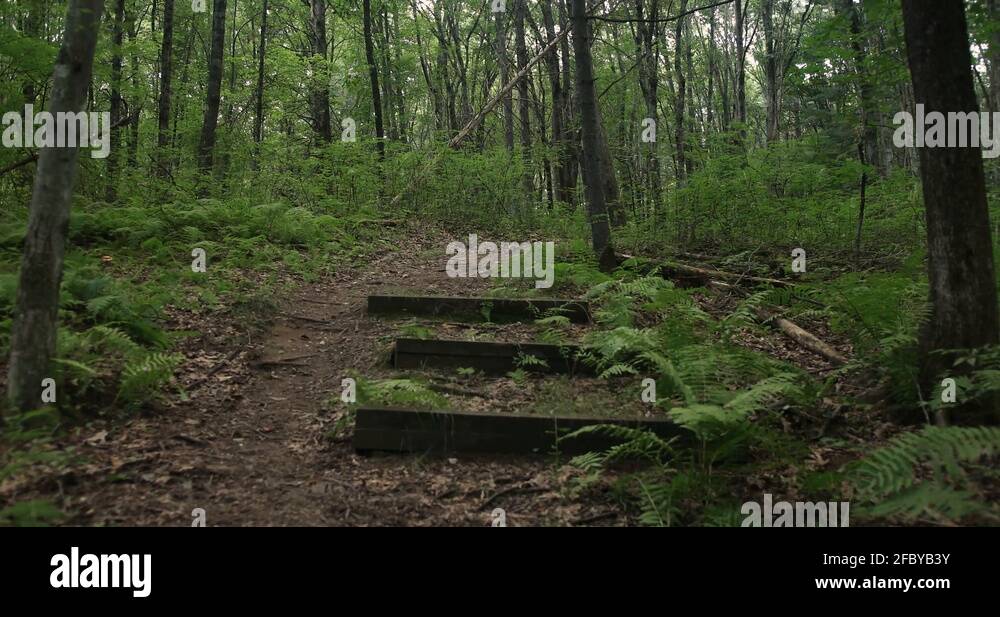 Trail stairs Stock Videos & Footage - HD and 4K Video Clips - Alamy