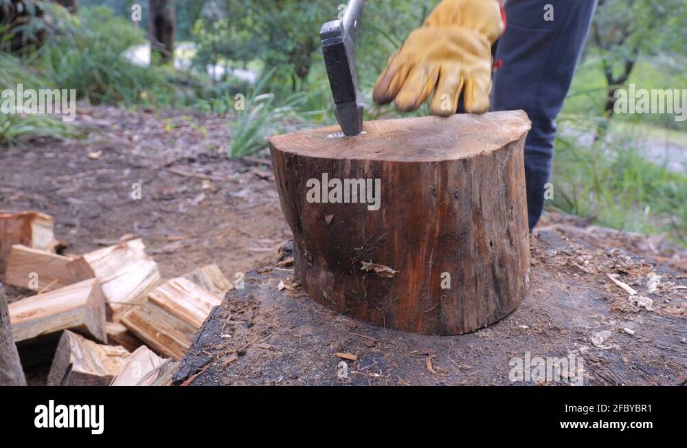 Axe log Stock Videos & Footage - HD and 4K Video Clips - Alamy