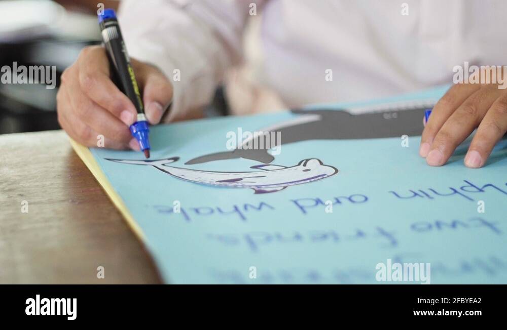 A man drawing a dolphin with a marker on a chart on the table, Close up ...