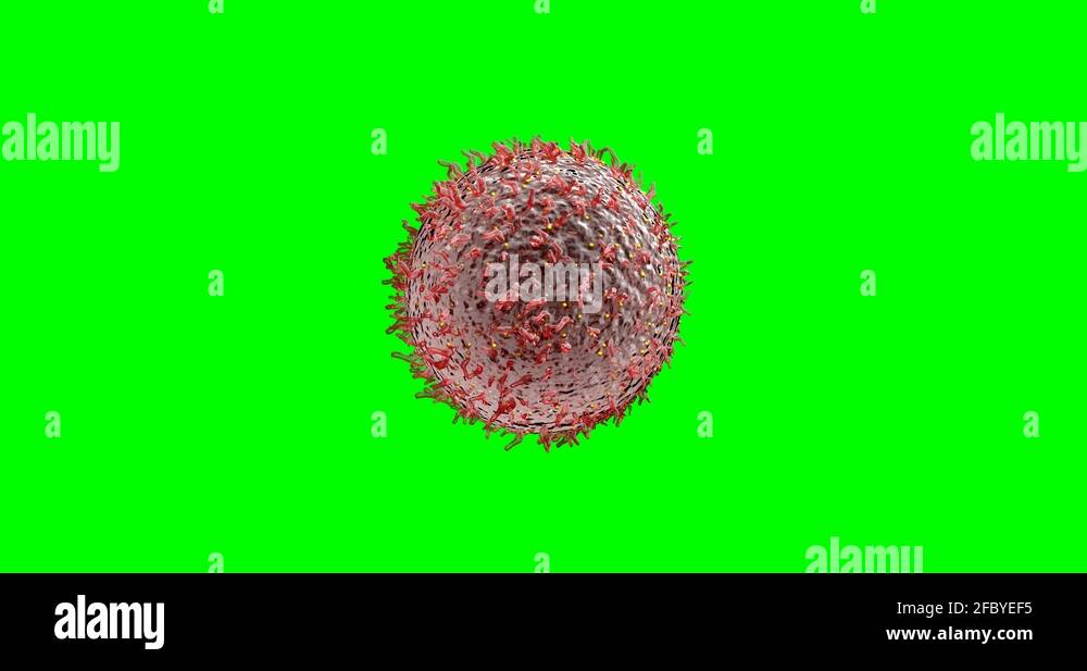 virus on green screen Cancer Cell on green screen Oncology Research ...