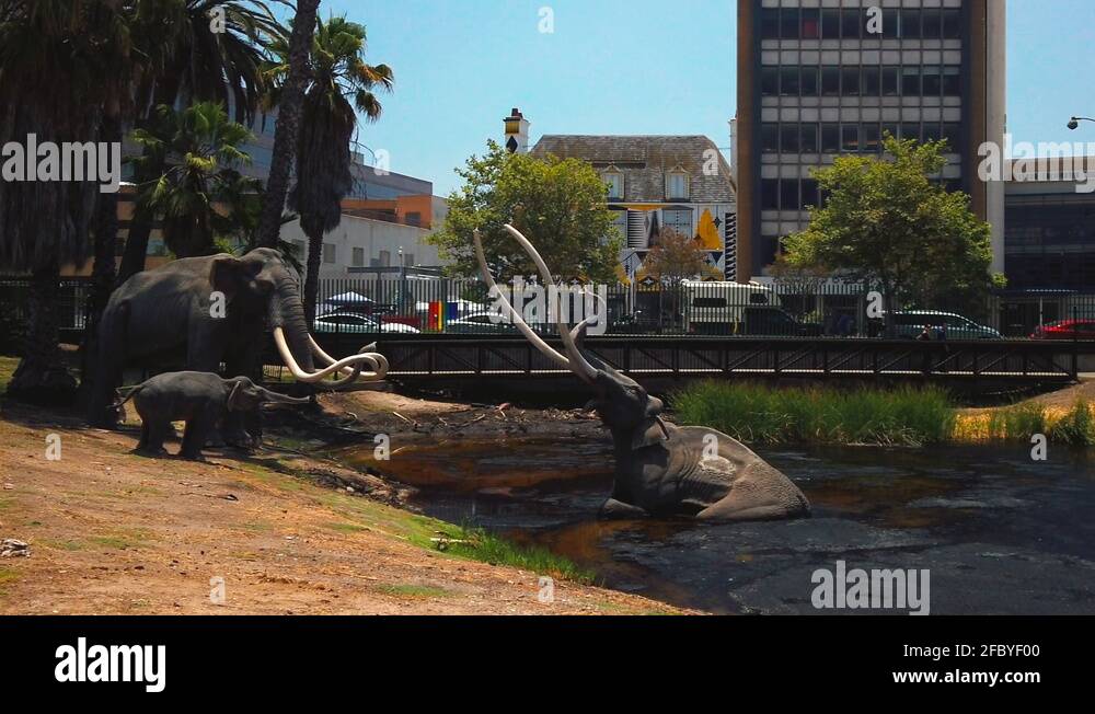 La brea tar pits Stock Videos & Footage - HD and 4K Video Clips - Alamy