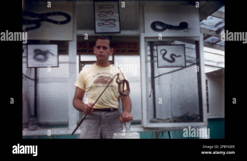 1950s: UNITED STATES: snake handler with snake on stick. Man handles ...