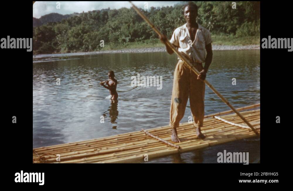 1950s: Jamaica. Jamaican man in white shirt and brown shorts steers ...