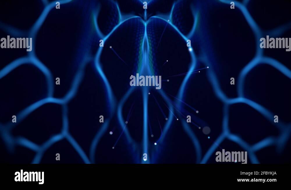 Neural network circuit of neurons Stock Videos & Footage - HD and 4K ...