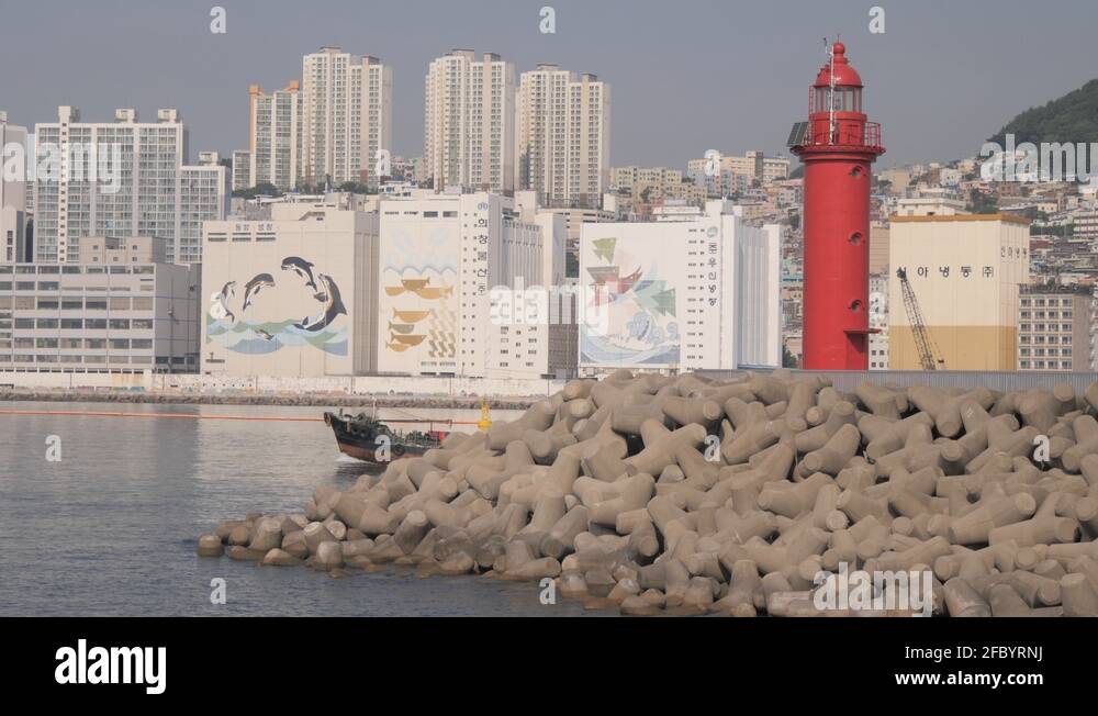 Busan skyline Stock Videos & Footage - HD and 4K Video Clips - Alamy