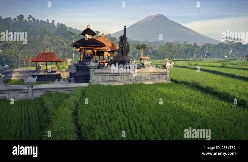 Aerial: Hindu temple in a rice field at the base of Mt Agung. Bali ...