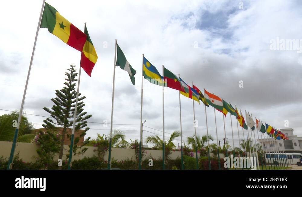 Row of textil flags of West African countries fluttering in the wind ...
