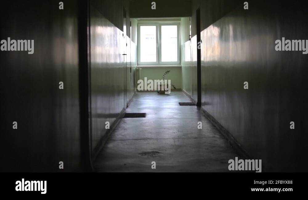 Block flats corridor Stock Videos & Footage - HD and 4K Video Clips - Alamy