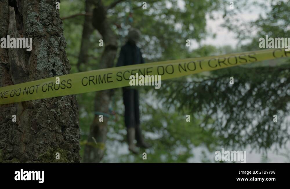 Rope noose hanging from tree Stock Videos & Footage - HD and 4K Video ...